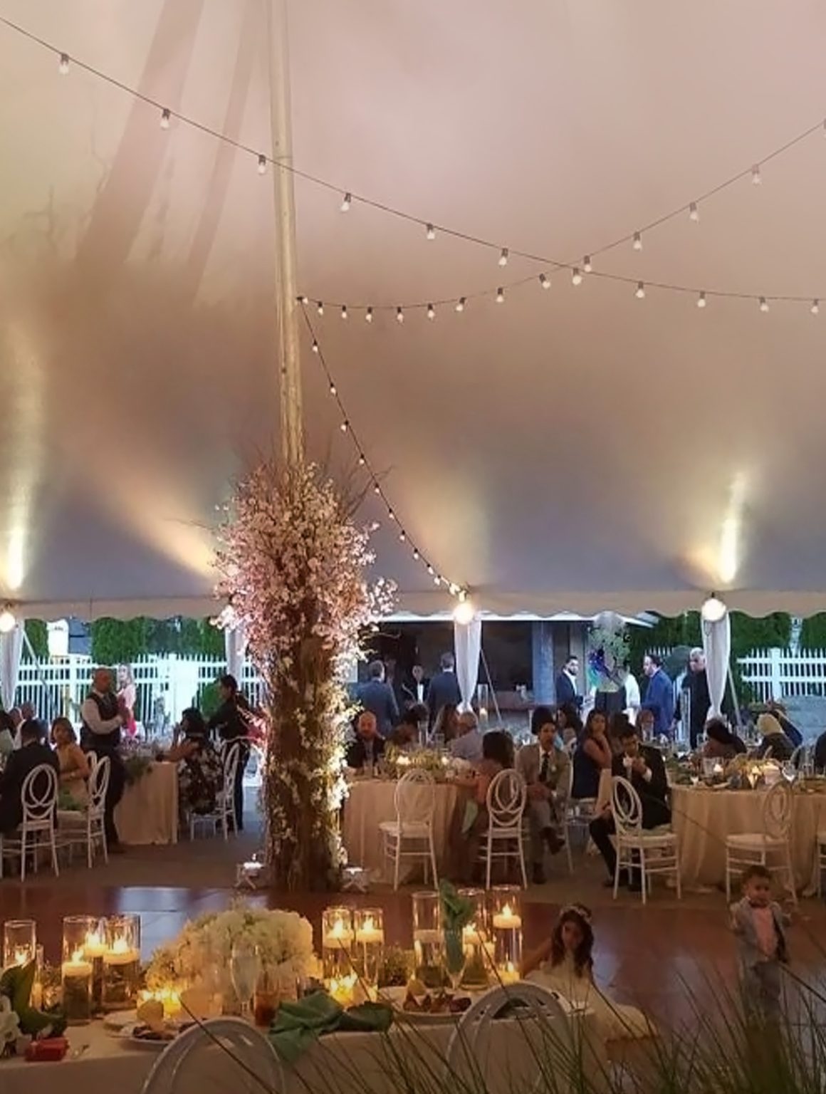 1-Minute Wedding Uplighting - Rent EZ DIY Lights [Video]