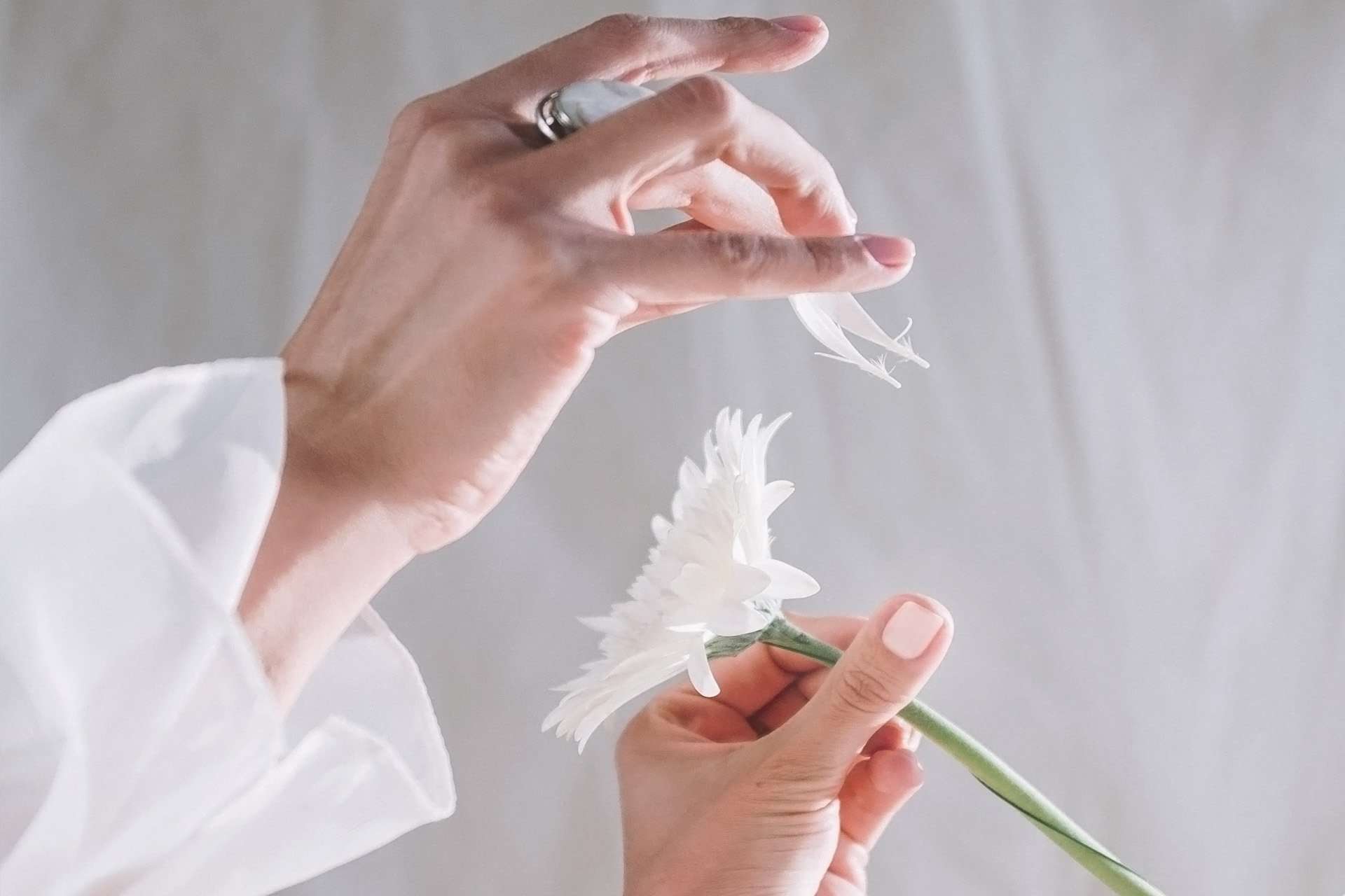 (10) Tips for Choosing + Buying Fake Flowers That Look Real